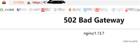 解决：网页显示502 bad gateway nginx的问题 ecs服务器502 bad gateway csdn博客