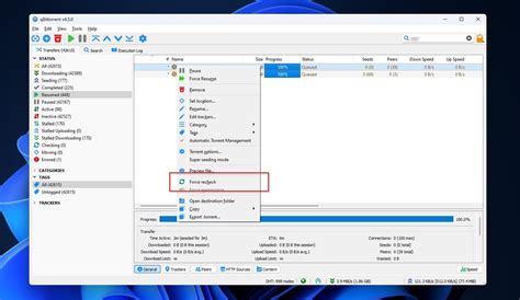 Qbittorrent Windows 11