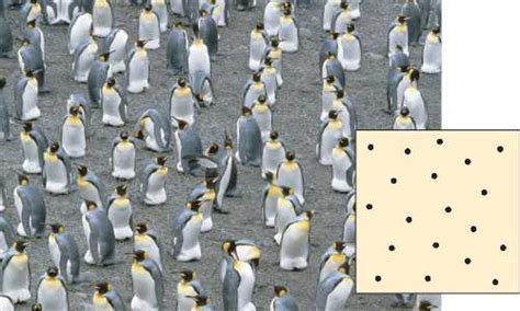 Jaans Science Class Population Dispersion