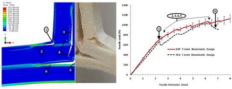 Materials Special Issue Bioinspired And Biomimetic Materials