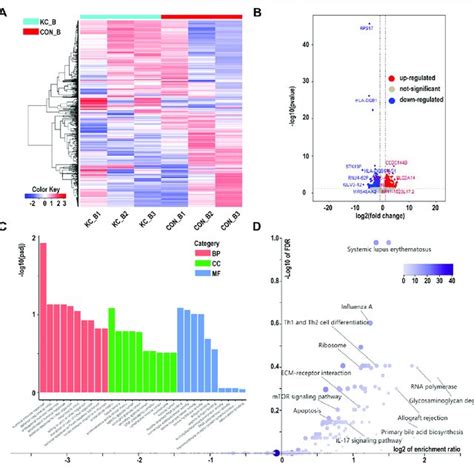 Hierarchical Cluster Analysis Of Differentially Expressed Genes In Download Scientific