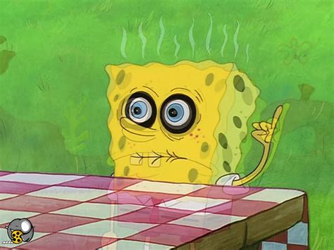 باب اسفنجی فصل ۱ قسمت اول فیلو