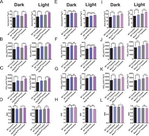 Tfeb Dependent Induction Of Thermogenesis By The Hepatocyte Slc2a