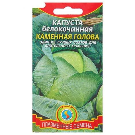 Капуста Каменная голова: описание сорта, фото, отзывы