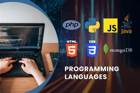 custom coded website vs wordpress which one is right for you