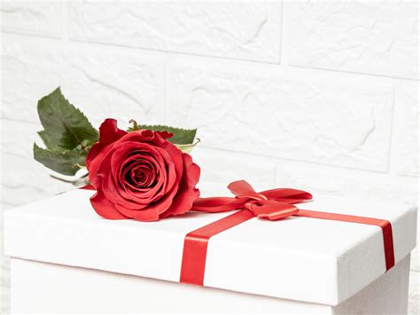 Бесплатные стоковые фото на тему белая коробка белый фон ботанический декоративная лента