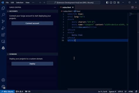 vscode extension opensource patrick zocli 20 commentaires