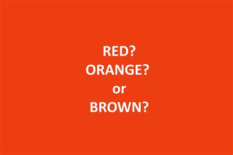 What Type Of Introvert Are You Based On What You See In These Colors