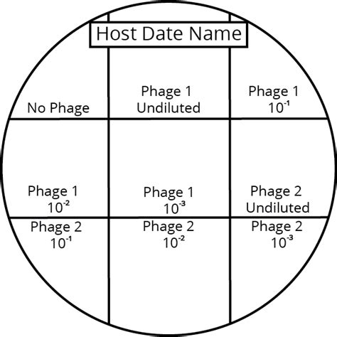 Host Range Experiments Community Phages