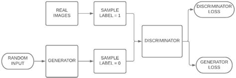 Generative Adversarial Network Architecture Download Scientific Diagram
