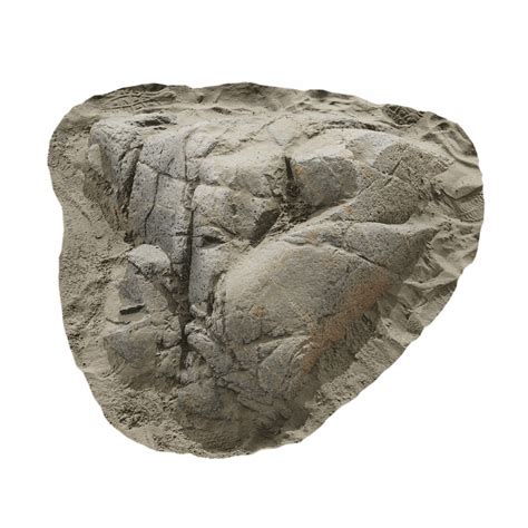 Small Cracked Beach Rock Model Poliigon
