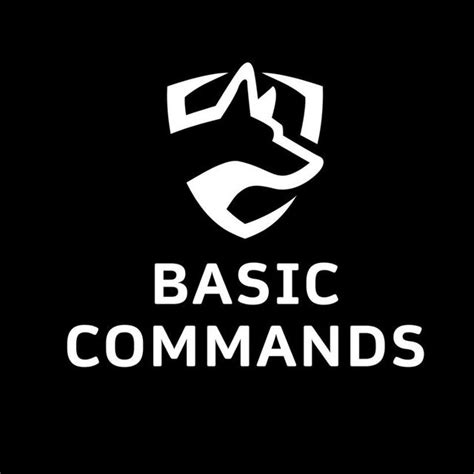 Basic Commands By Emanuel SjÖstrand Basiccommands • Threads Say More