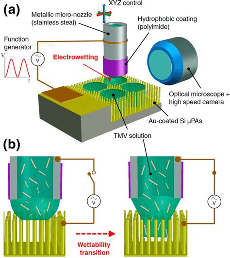 A Overview Of The Custom Built System For The Electrowetting Assisted Download Scientific