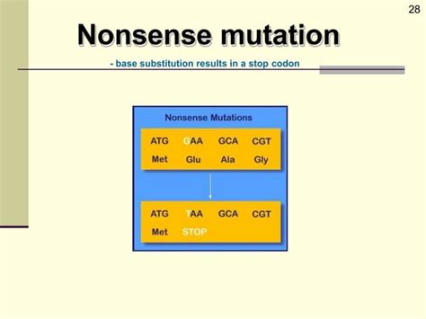 Dna Replication Repair And Mutation Ppt