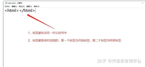 HTML基本结构 知乎