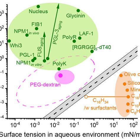 Surface Tension And Viscosity Of Rgg Condensates Estimated From Download Scientific Diagram