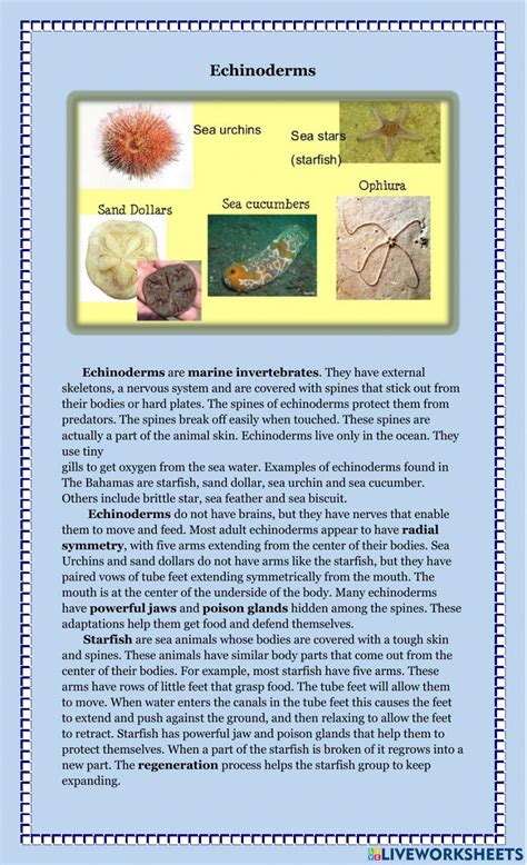 Echinoderms