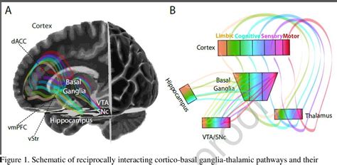 Figure 1 From The Neuroscience Of Active Learning And Direct Instruction Semantic Scholar