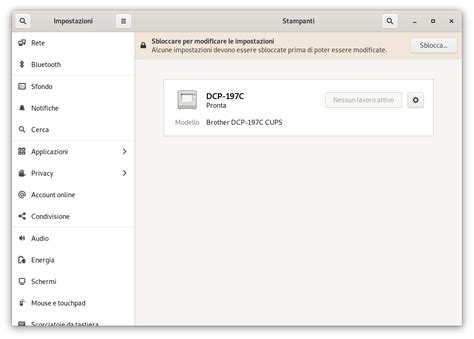 Lo Scanner Dcp197c Brother Non Funziona In Debian 10 Gnulinux E
