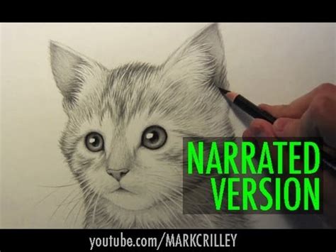 How To Draw A Cat 10 Easy To Follow Video Tutorials Inspirationfeed