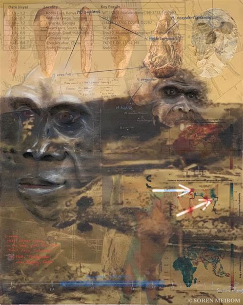 Homo Ergaster Erectus Art By Soren Meibom