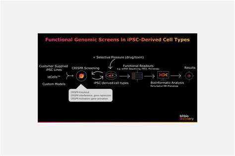 Bit Bio Discovery Our Technology Platform