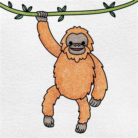 Simple Orangutan Drawing