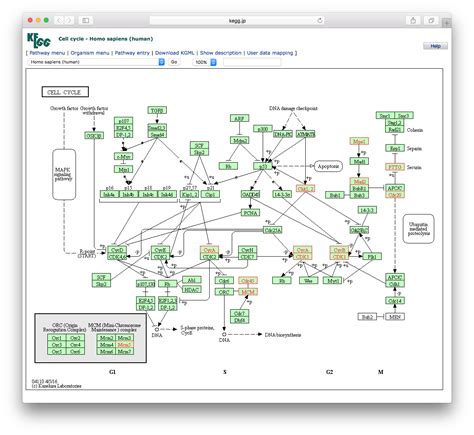Chapter 7 Kegg Enrichment Analysis Biomedical Knowledge Mining Using