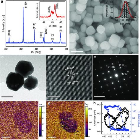 Microstructural And Morphology Characterization A X Ray Diffraction Download Scientific