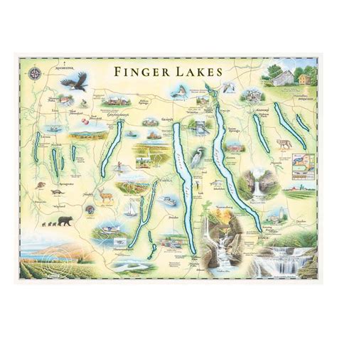 New Yorks Finger Lakes Hand Drawn Map Xplorer Maps Hand