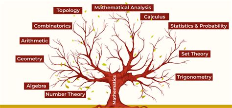 Branches Of Mathematics Geeksforgeeks