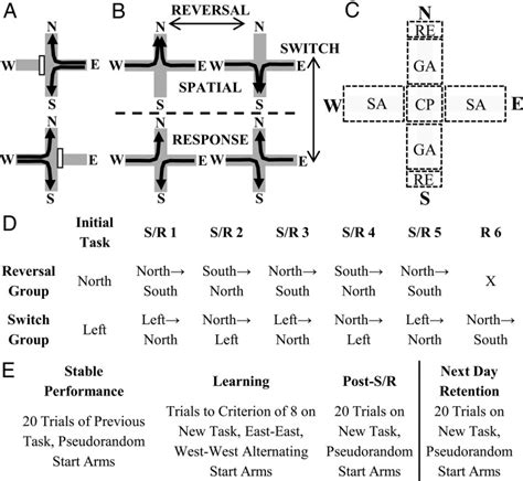 dynamic coding of goal directed paths by orbital prefrontal cortex pmc