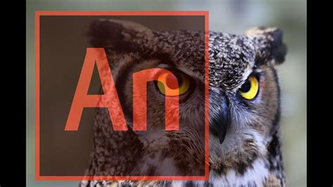 Adobe Animate Cc Audio Buttons Actions Youtube