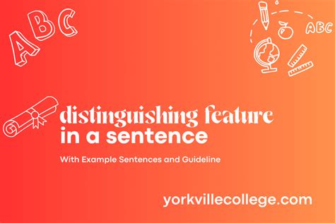 How To Use Distinguishing Feature In A Sentence Easy Examples