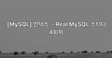 [mysql] 인덱스 Real Mysql 스터디 4회차 박종훈 기술블로그
