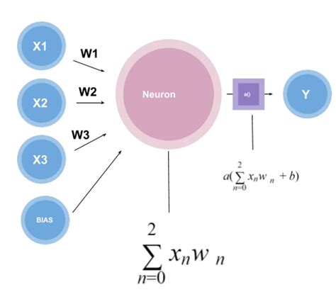 Was Ist Ein Perceptron Grundlagen Neuronaler Netze