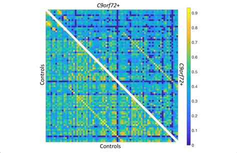 Resting State Functional Connectivity Matrix Thresholded At R ≥ 02
