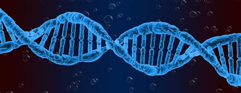 Cannabinoids Definition Effects Benefits List Of All Cannabinoids