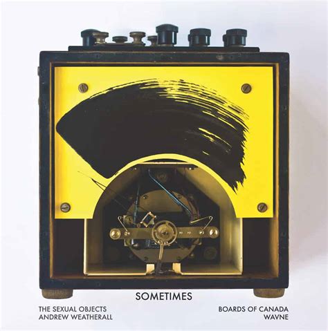 The Sexual Objects Boards Of Canada Andrew Weatherall Wavne Sometimes