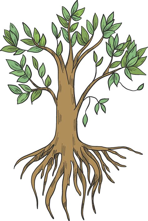 Free Tree With Roots Download Free Tree With Roots Png Images Free ClipArts On Clipart Library