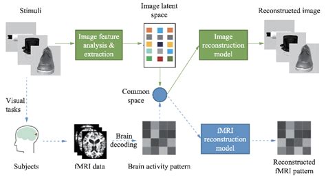 The Above Figure Displays The Process Of Brain Decoding And