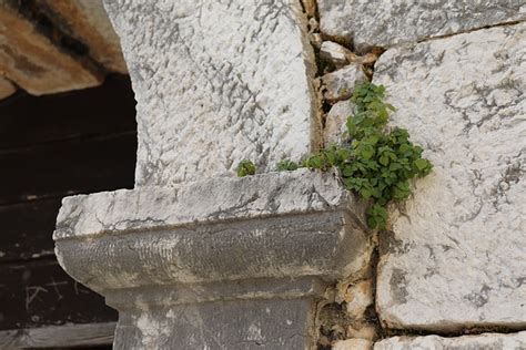 건축물 지중해 아치 길 돌 Pixabay의 무료 사진