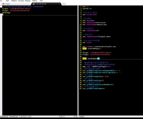 vim实战插件安装 VundleNerdTree 蜗牛 博客园
