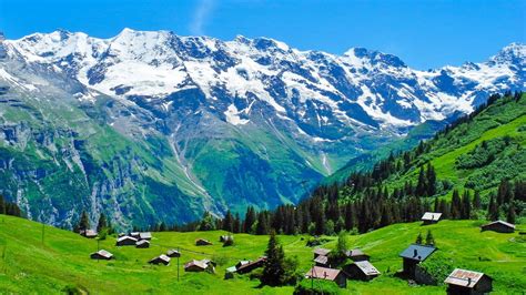 величественные мелодии природы🌲 Успокаивающая музыка снимает напряжение нервной системы