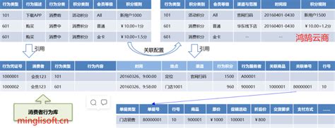 消费者行为大数据：系统在“以消费者为中心”的指导思想下设计 Java版spring Cloudspringbootmybatisuniapp B2b2c 多商户入驻商城 直播 电子商务