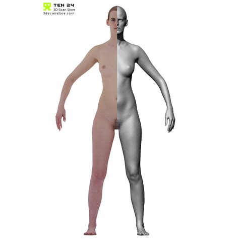 Female Dynamic 3d Models Created From 3d Scans By