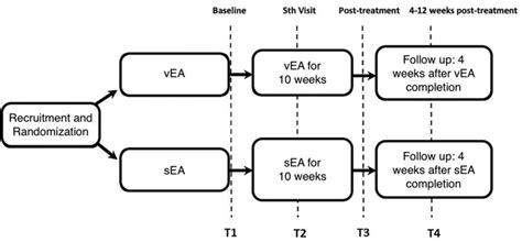 Study Flow Chart Time Point 1 T1 Before Initiation Of Verum EA Or Download Scientific