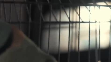 Desi Bhabhi Sex Video Viral Yorgelis Carrillo