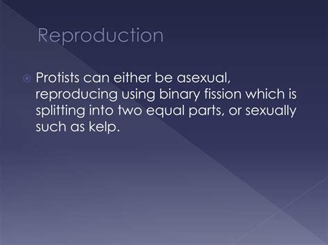 Ppt Protist Powerpoint Presentation Free Download Id5090081