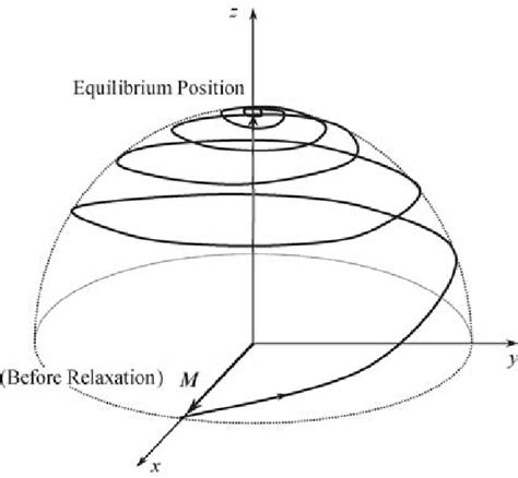 8 Relaxation Of The Magnetization Vector Download Scientific Diagram